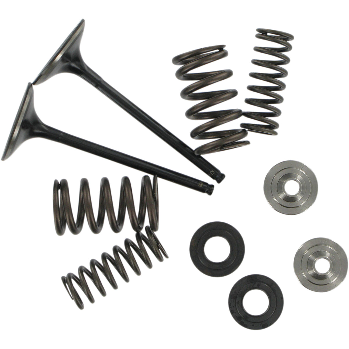 KIBBLEWHITE 0926-0452 40-40350 Stainless Steel Conversion Valve and Sp ...