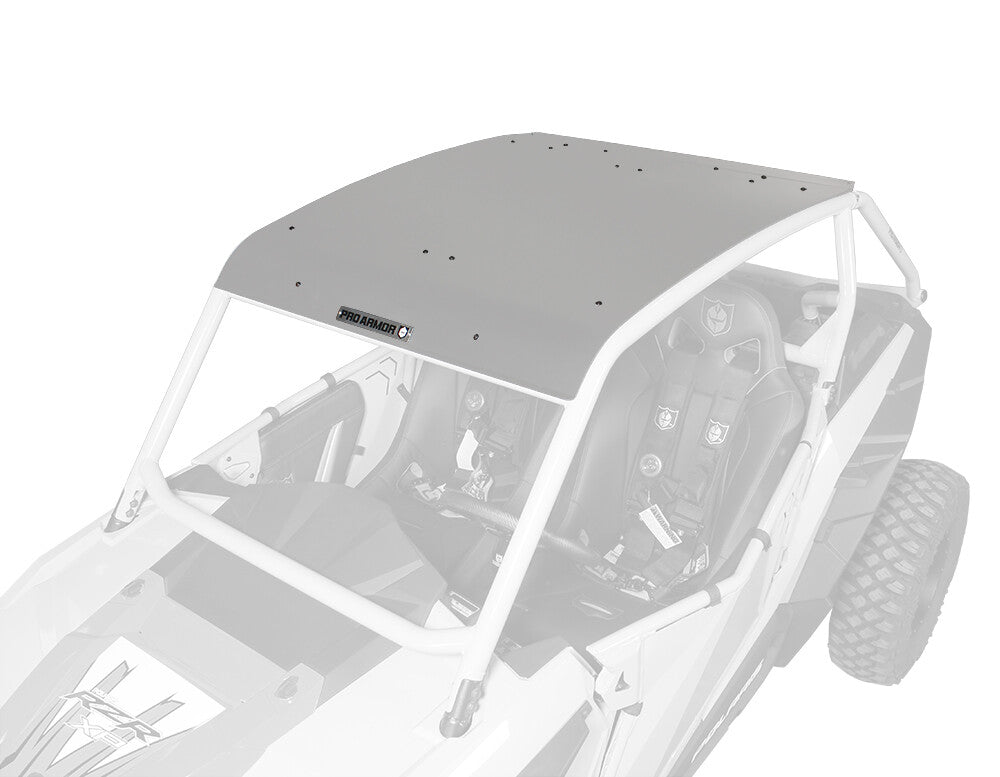 Pro Armor 67-14195GG P141295GG-728 Asylum Roof - SpazCycle