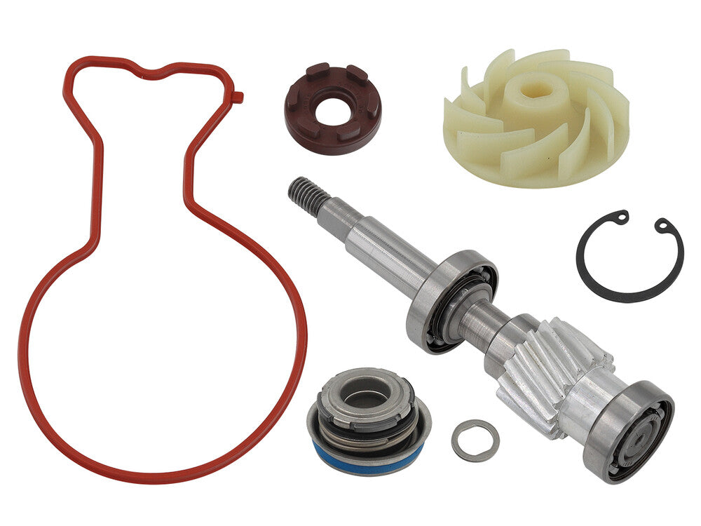 Sp1 125-90933 SM-10102 Water Pump Repair Kit - SpazCycle