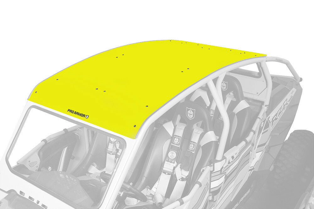Pro Armor 67-14420LSQ P144R120LSQ-630 Asylum Roof - SpazCycle